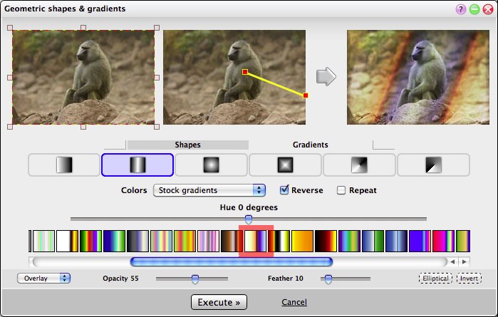 Best software programs to convert old black & white and color negatives ...